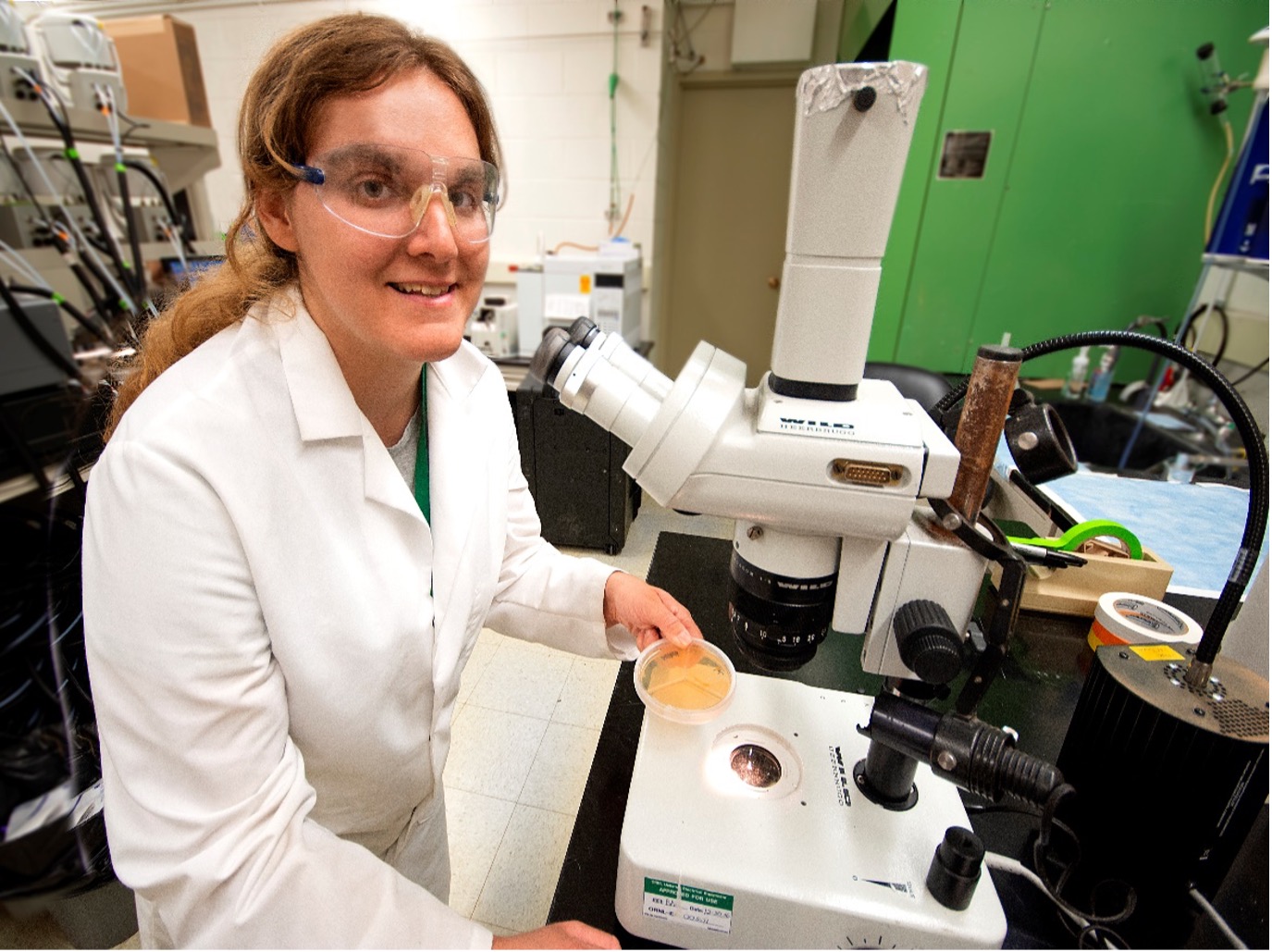 Recent graduate investigates methane production in peat – Education ...